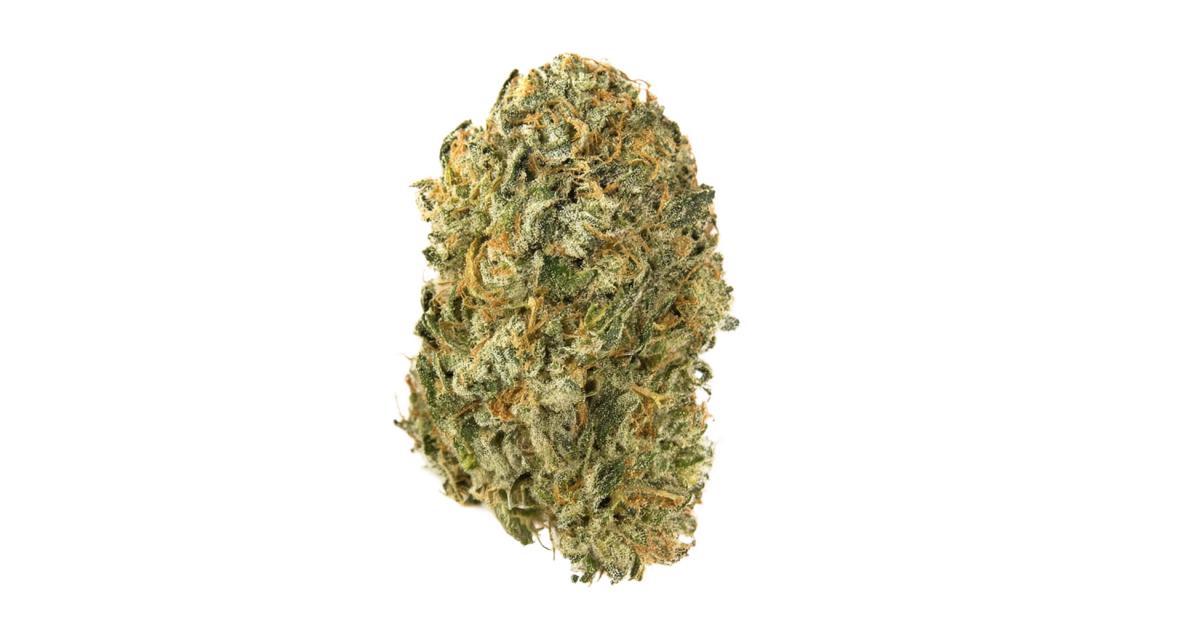ZOZ Cannabis Strain Information - GrowDiaries