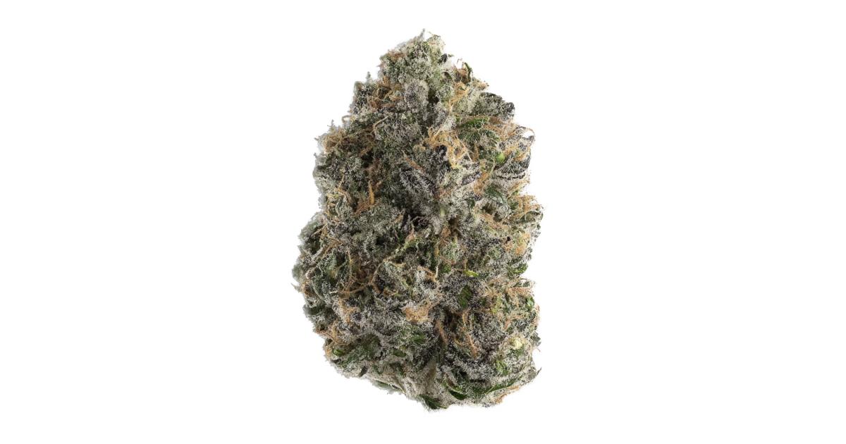 Candy Store RBX Cannabis Strain Information - GrowDiaries
