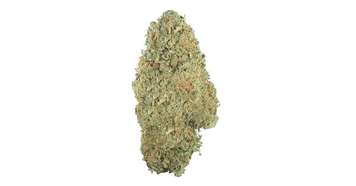 Original Amnesia Haze Auto Cannabis Strain Information - GrowDiaries