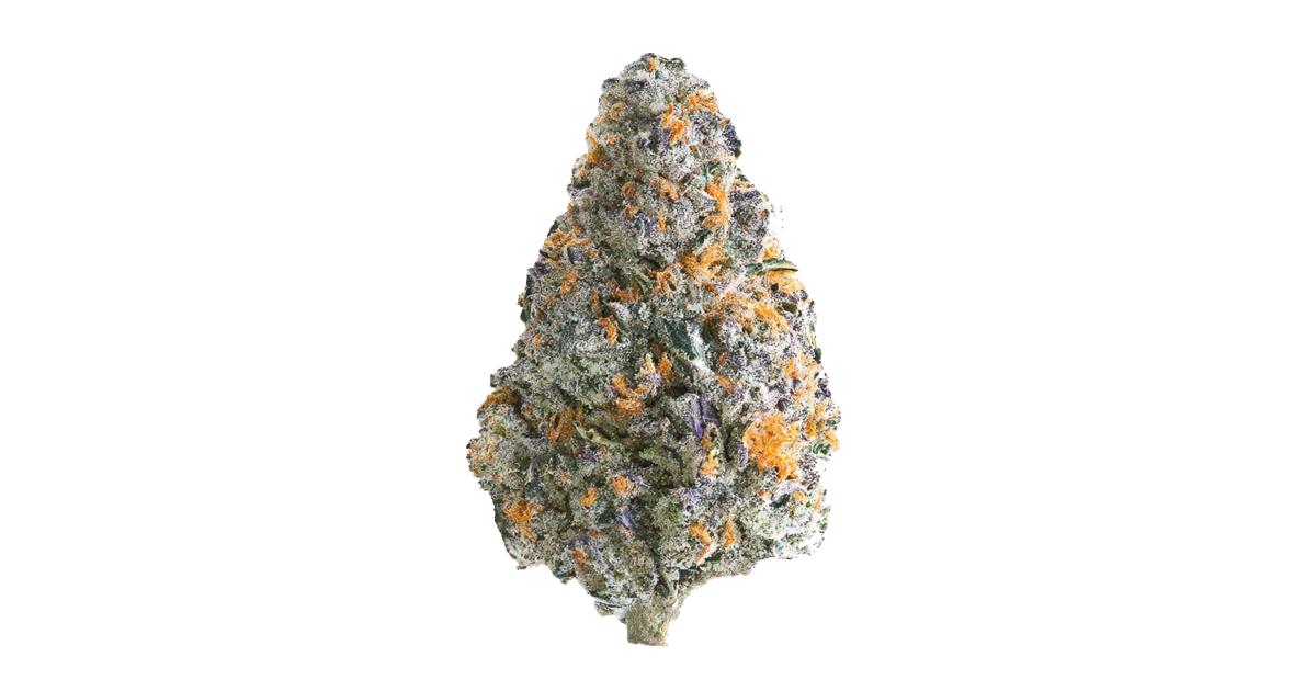Original Blueberry Auto Cannabis Strain Information - GrowDiaries