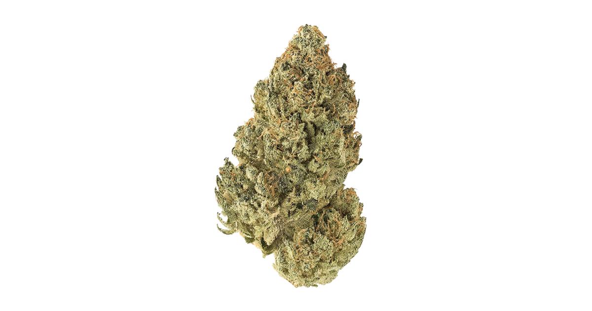 Original White Widow Auto Cannabis Strain Harvests - Grow...