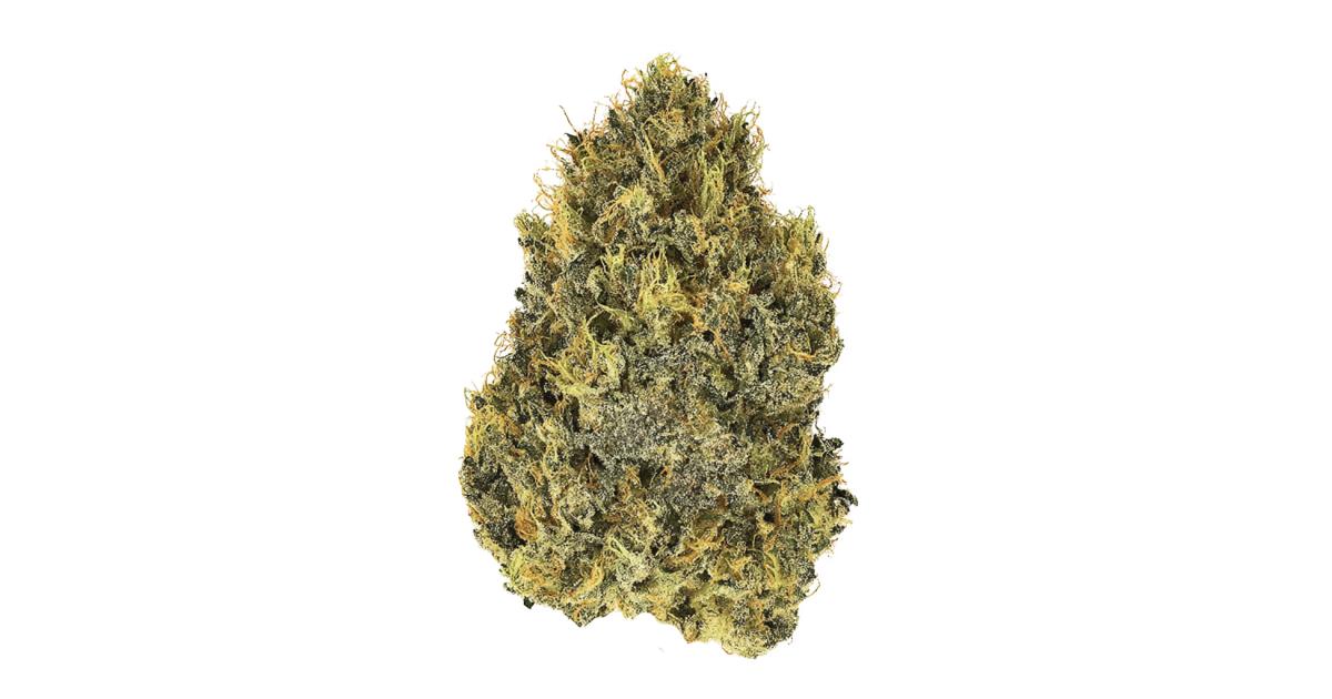Original Cinderella Auto Cannabis Strain Information - GrowDiaries