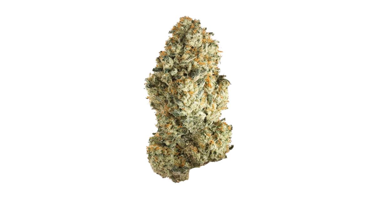 Original Bubblegum Auto Cannabis Strain Information - Gro...