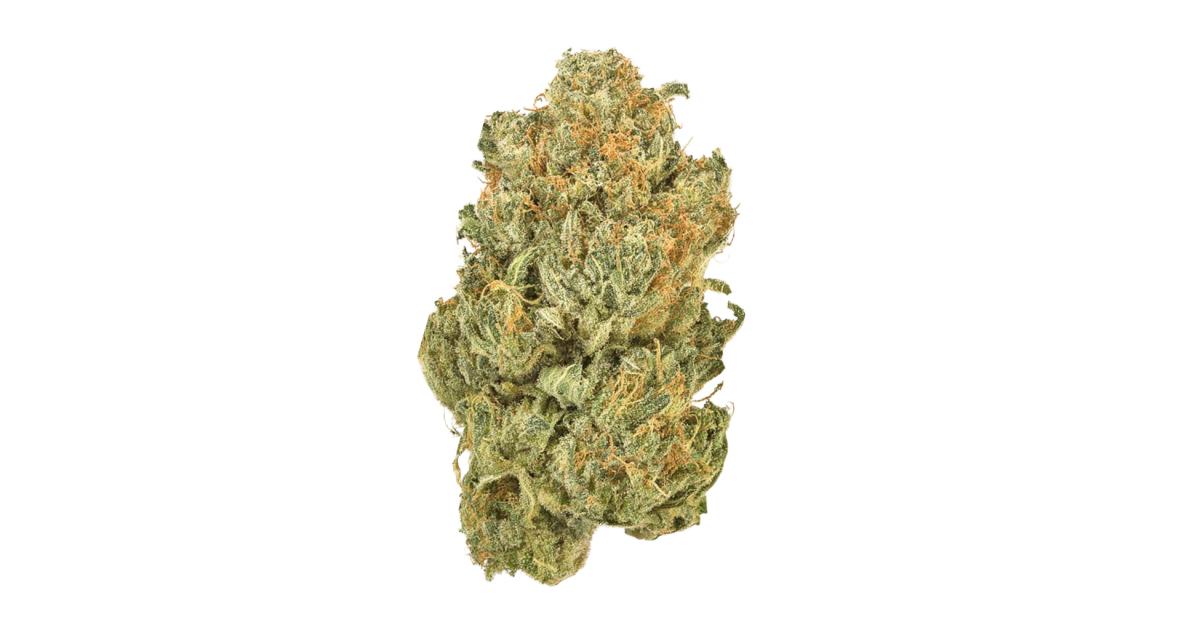 Original OG Kush Auto Cannabis Strain Information - GrowD...