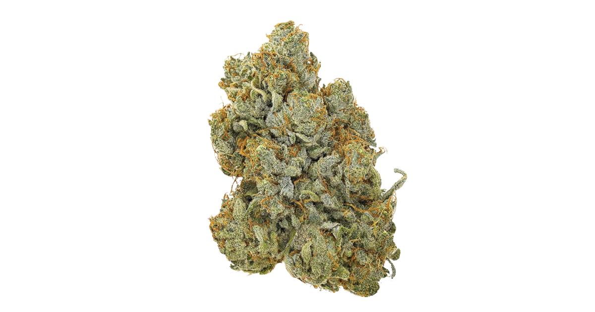 Original Cheese Auto Cannabis Strain Information - GrowDi...