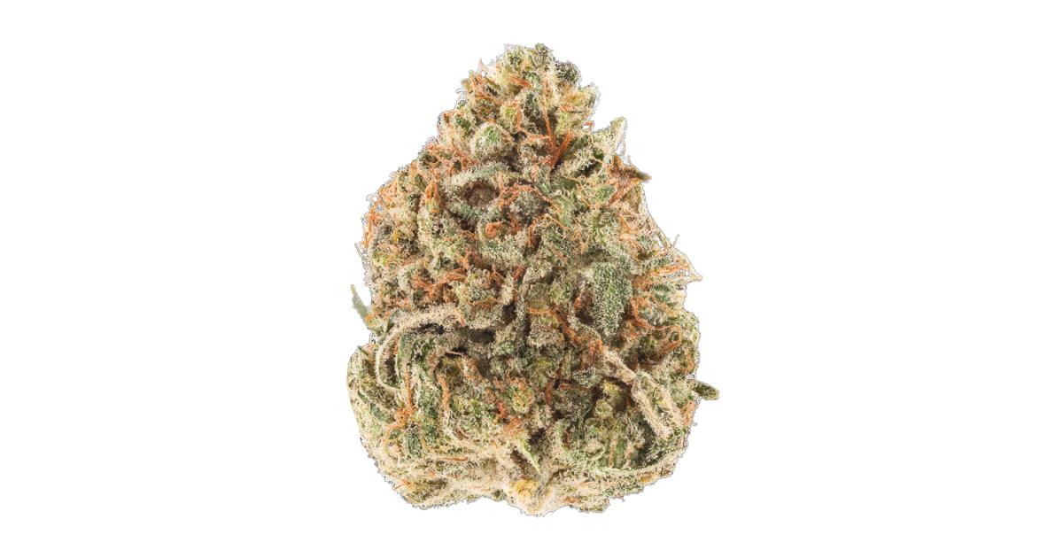 Lemon Bean Cannabis Strain Information - GrowDiaries