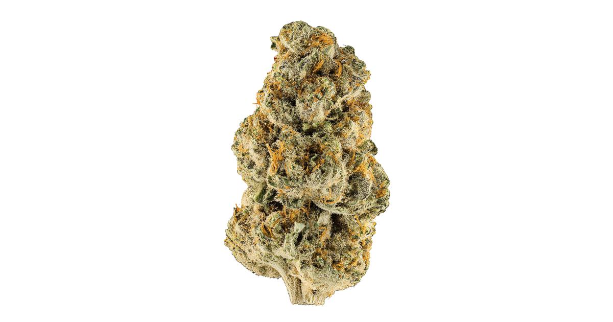 Grapevine Candy Cannabis Strain Information - GrowDiaries