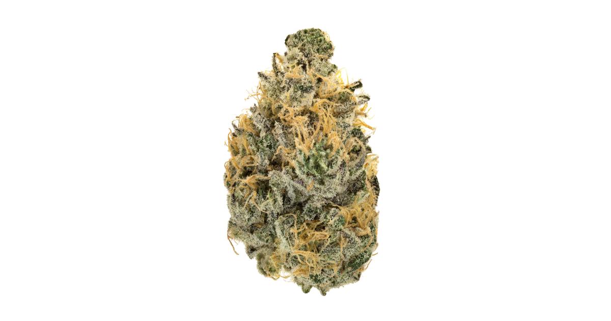 Mandarin Punch Cannabis Strain Information - GrowDiaries