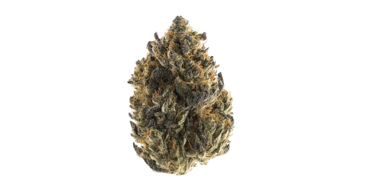 LA Sugar Cannabis Strain Information - GrowDiaries