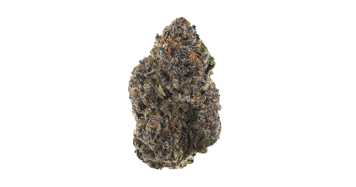 Purple Papaya Paradise Cannabis Strain Information - GrowDiaries