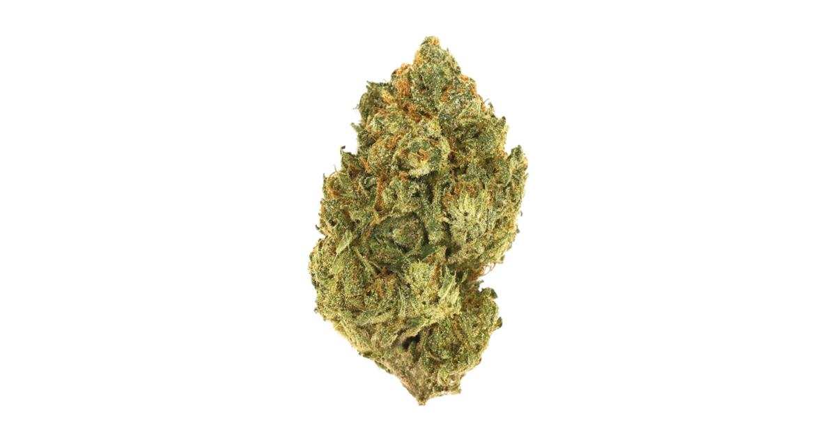 Ruderalis Skunk Cannabis Strain Information - GrowDiaries