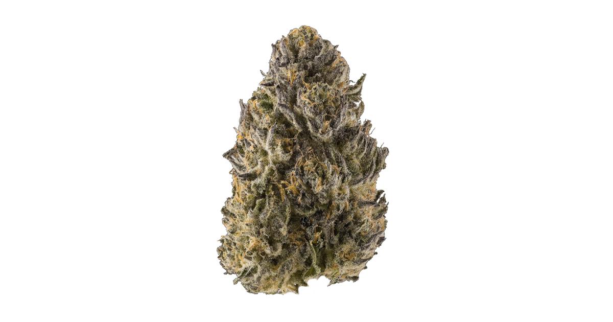 Mango Cake Crasher Cannabis Strain Information - GrowDiar...