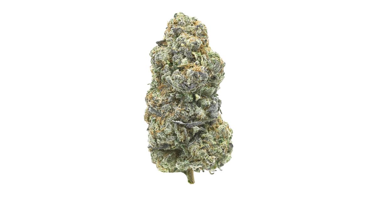 Sundae Supper Cannabis Strain Information - GrowDiaries