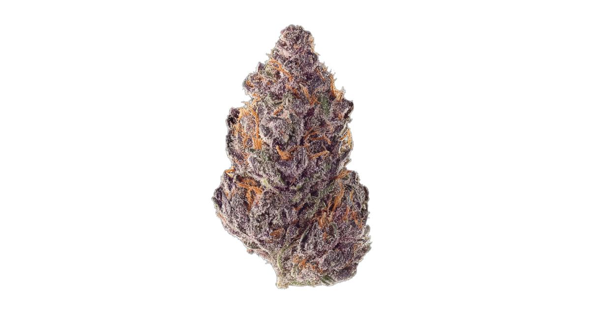 Trap God Cannabis Strain Information - GrowDiaries