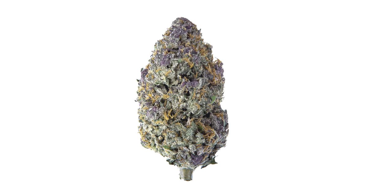 Bahama Berry Cannabis Strain Information - GrowDiaries