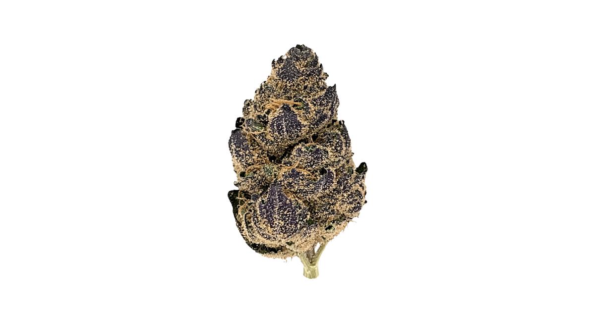 Rainbow Gelato Cannabis Strain Information - GrowDiaries