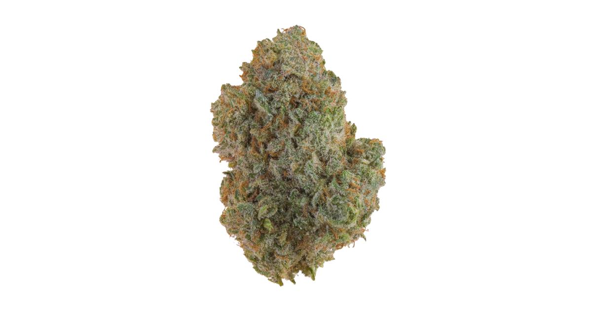 Green Poison F1 Fast Version Cannabis Strain Information ...