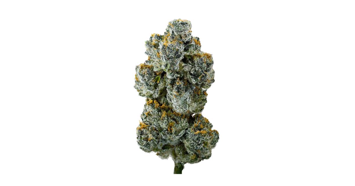 Cherry Strudel Cannabis Strain Information - GrowDiaries