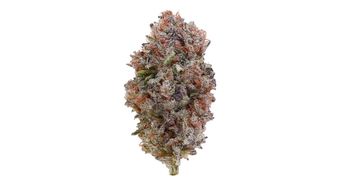 Strawberry Cola Sherbet F1 Fast Version Cannabis Strain I...