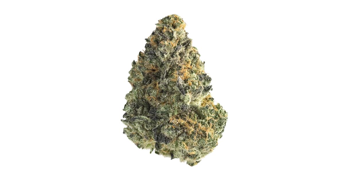 Sweet Cheese F1 Fast Version Cannabis Strain Information ...