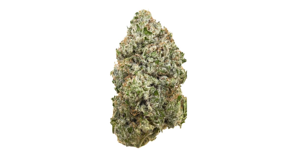 Peach Nishi Cannabis Strain Information - GrowDiaries
