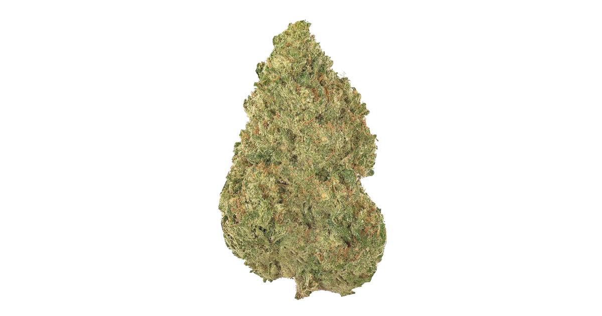 Early Frost Cannabis Strain Information - GrowDiaries