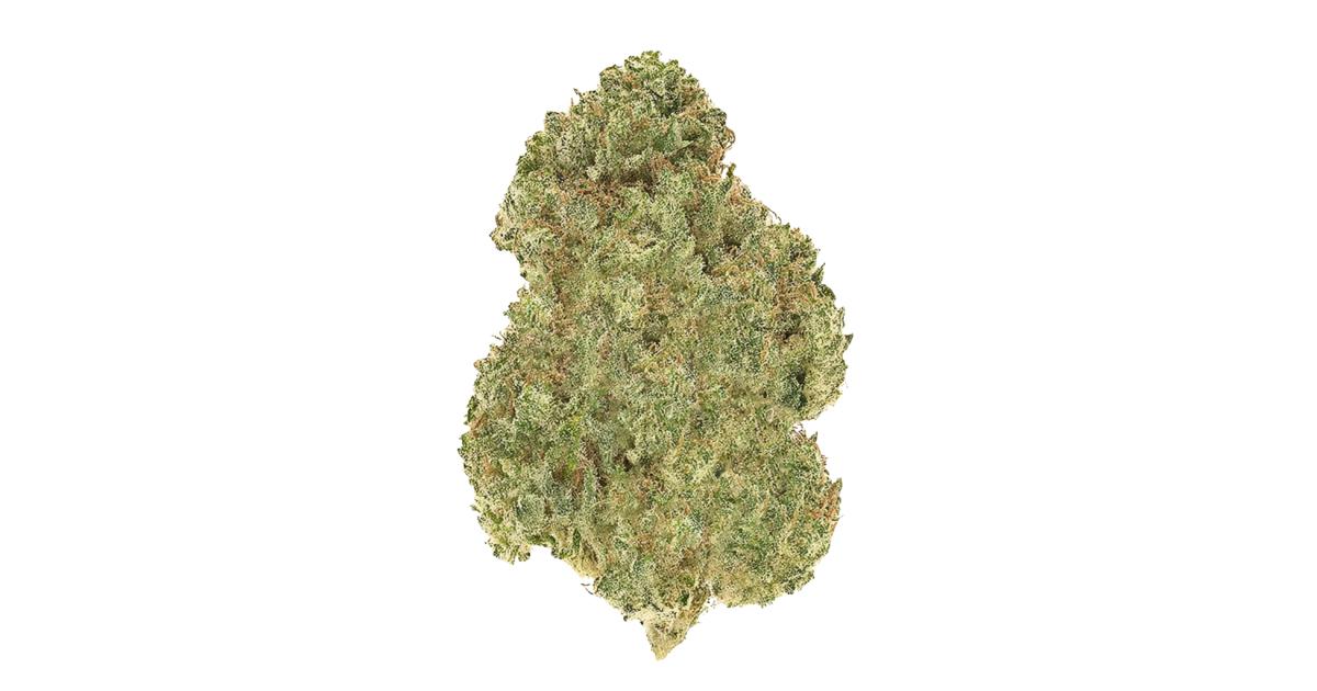ETHOS Haze IBL Cannabis Strain Diaries - GrowDiaries