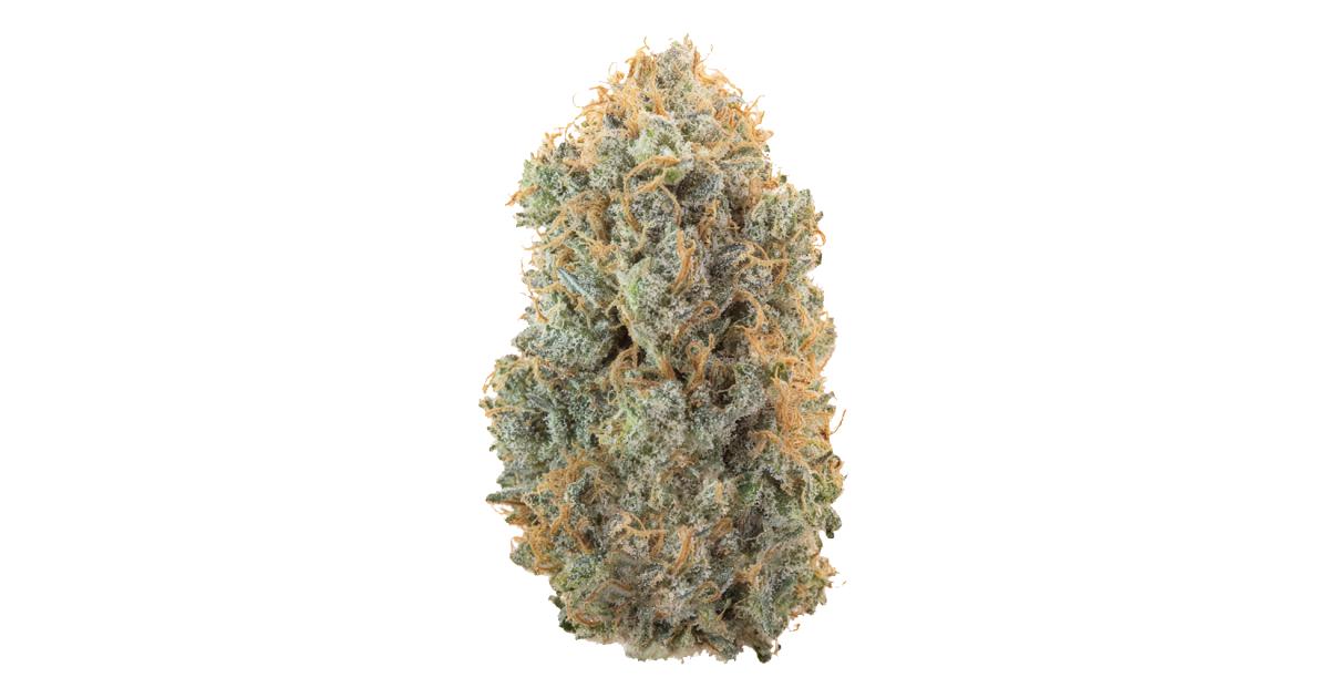 Project Skunk Cannabis Strain Information - GrowDiaries