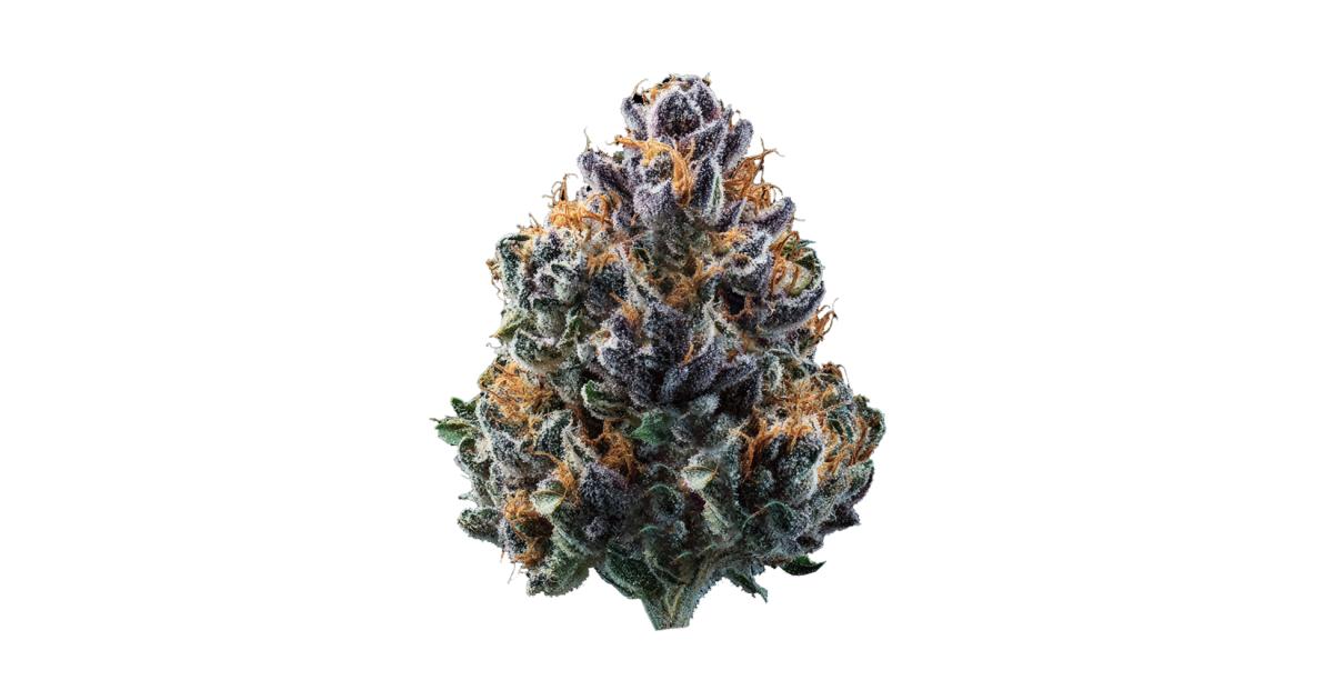 Jealousy Dankness Cannabis Strain Information - GrowDiaries