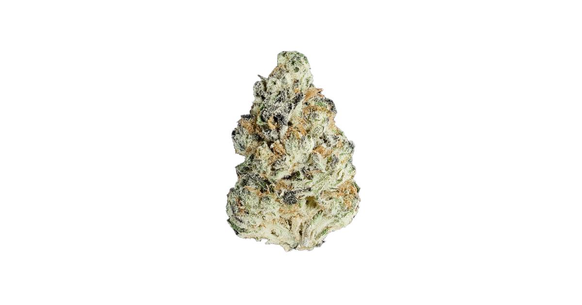 Sour Lemon Cannabis Strain Information - GrowDiaries