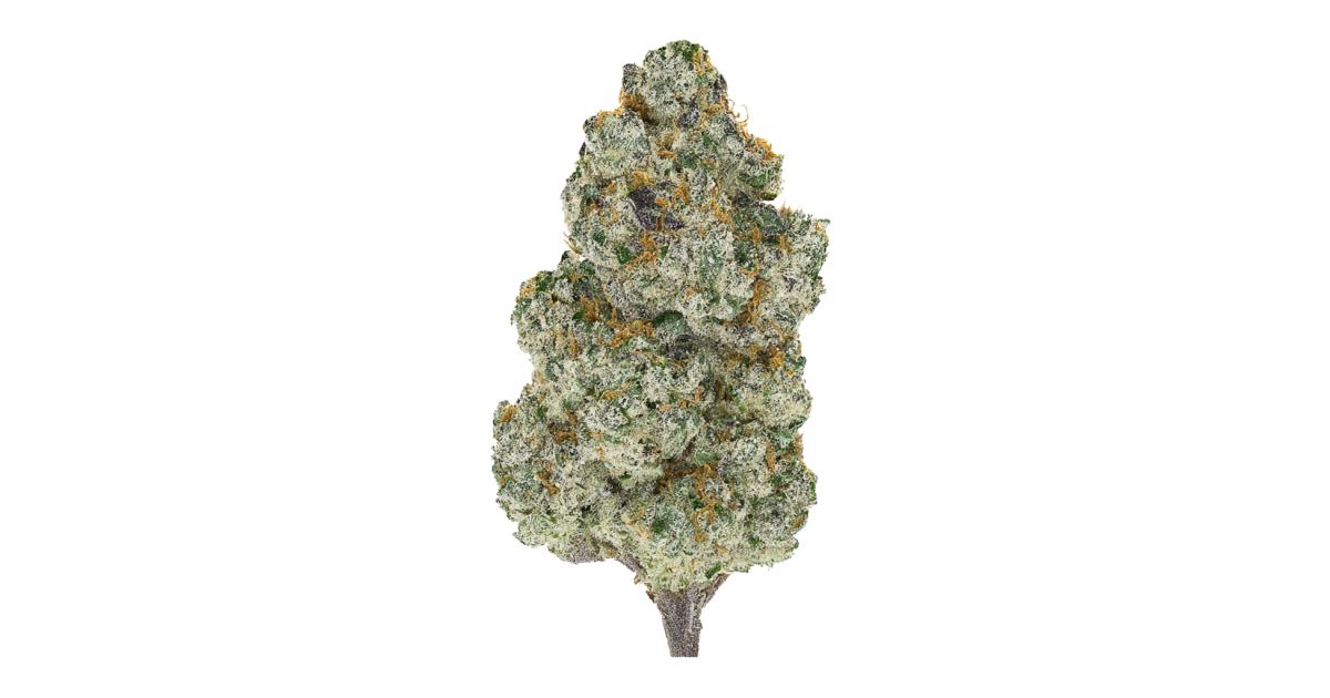 Pink Matcha Slush Cannabis Strain Information - GrowDiaries