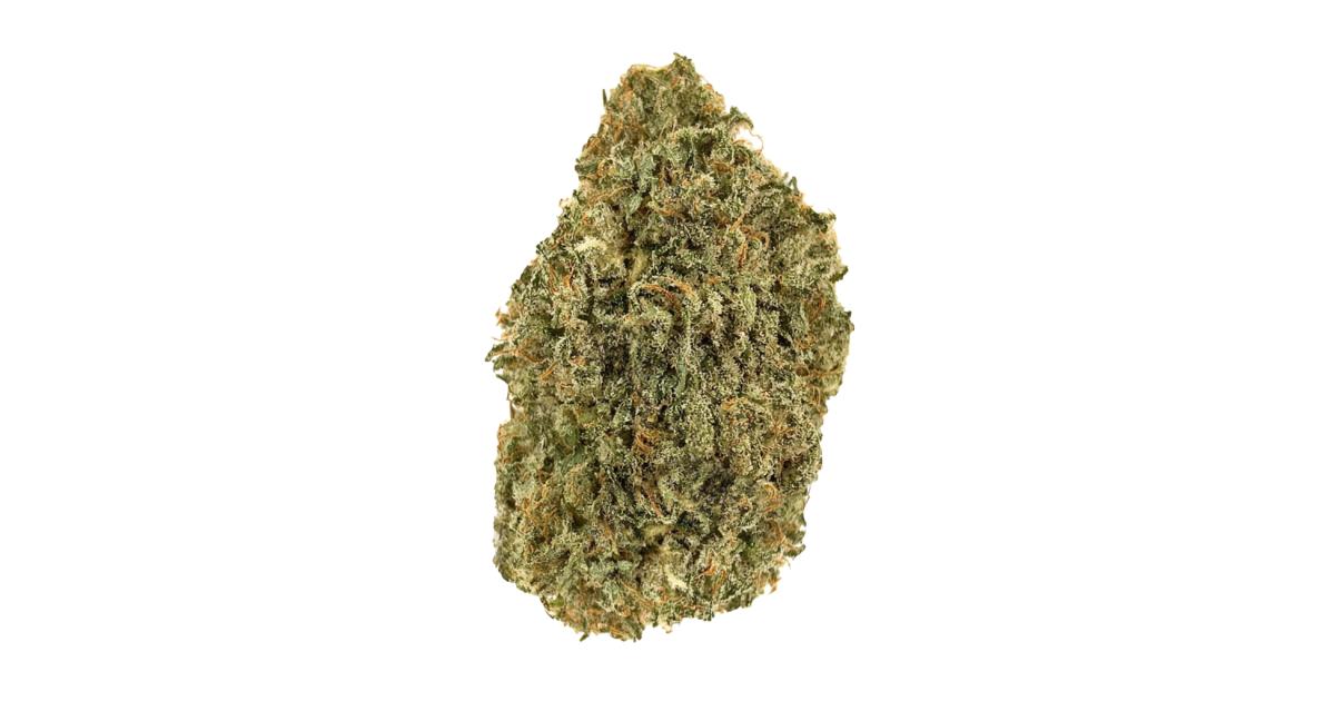 Sour Shotz Cannabis Strain Information - GrowDiaries