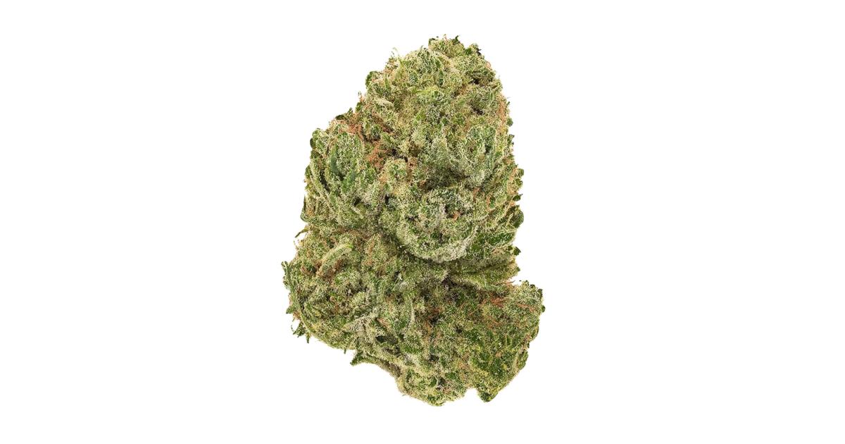 Super Lemon Haze RBX3 Cannabis Strain Harvests - GrowDiaries