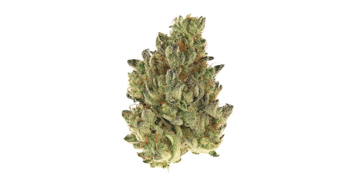Toasted R1 Cannabis Strain Information - GrowDiaries