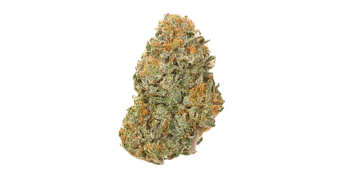 Thug Rozé R1 Cannabis Strain Information - GrowDiaries