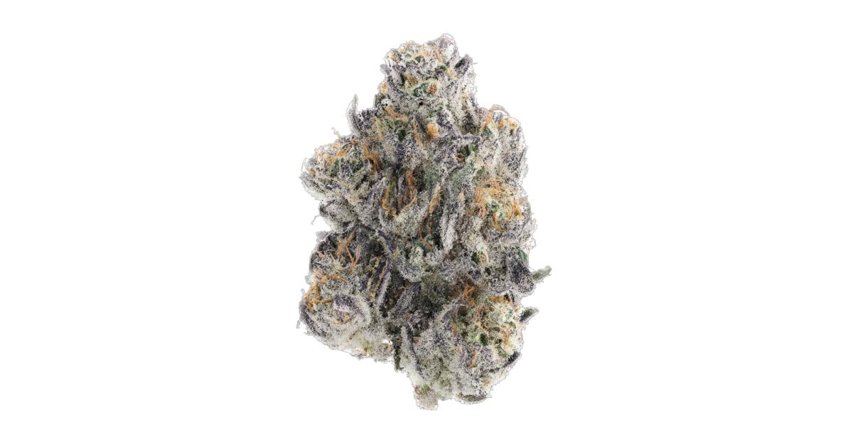 Sun Dart R1 Cannabis Strain Information - GrowDiaries