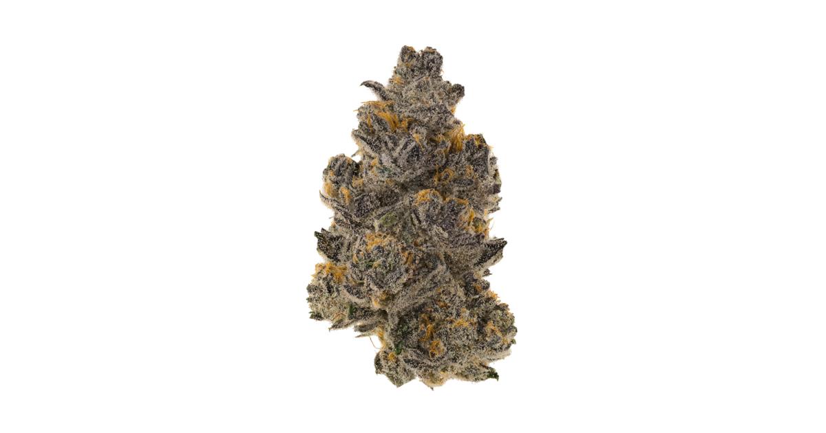 Sparkleface F2 Cannabis Strain Information - GrowDiaries