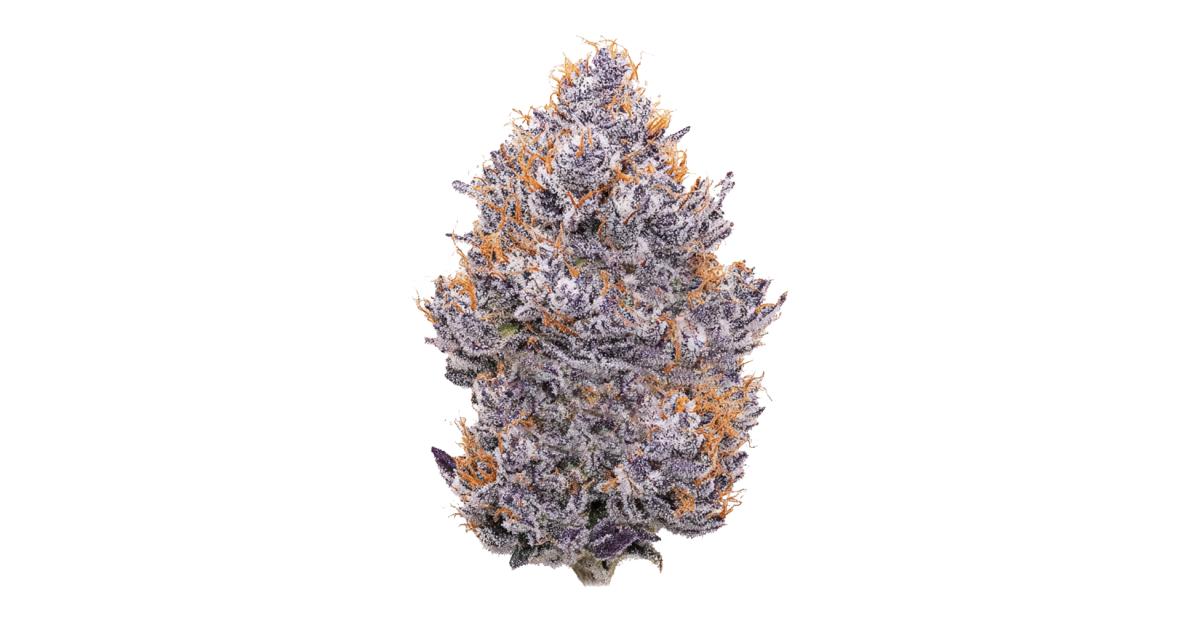 GMO Zkittlez F-1 Cannabis Strain Information - GrowDiaries