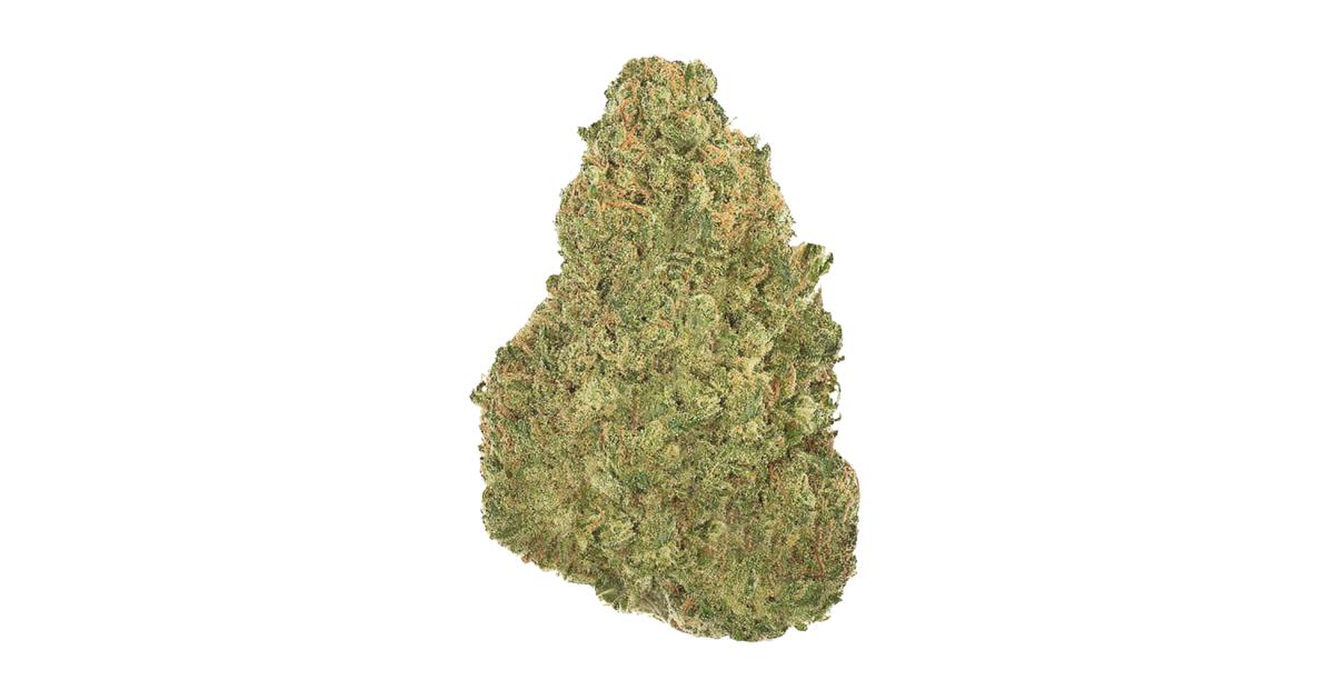 Super Lemon Haze F5 Cannabis Strain by ETHOS Genetics In...