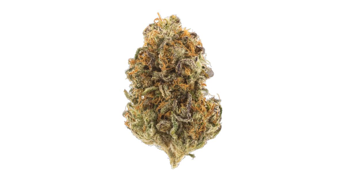 Flak Jacket Cannabis Strain Information - GrowDiaries