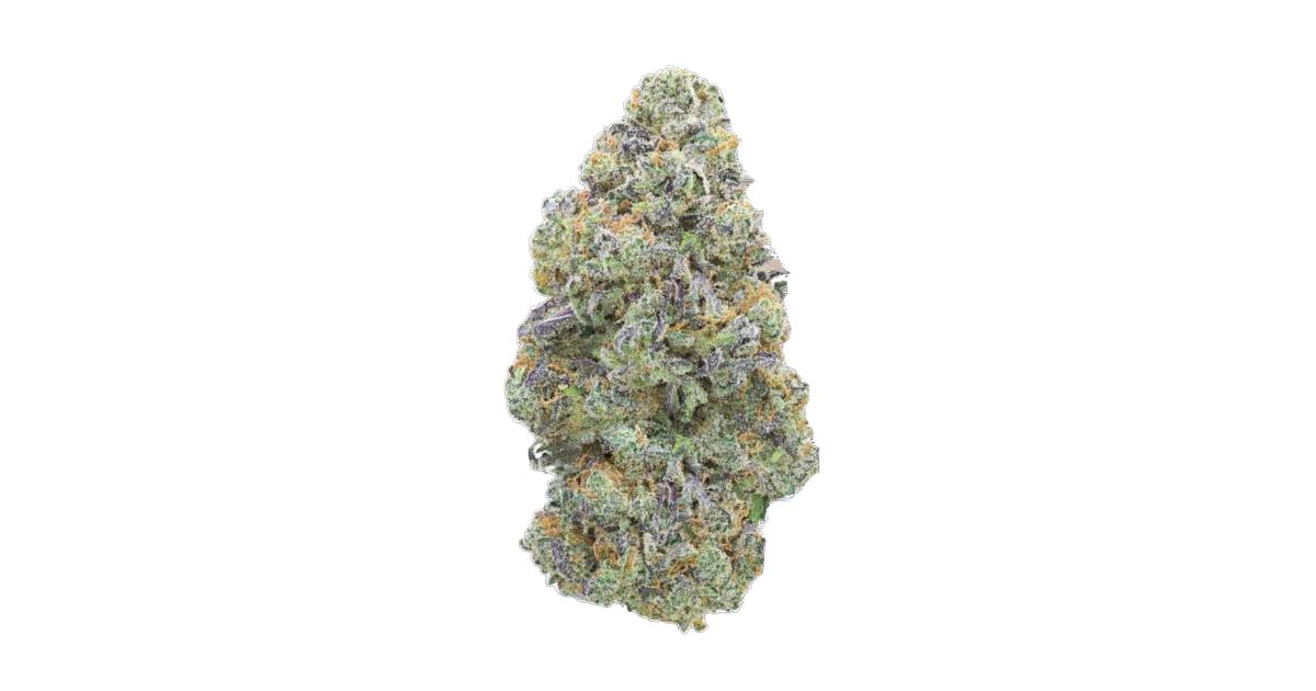 Hair of the Dog Cannabis Strain Information - GrowDiaries