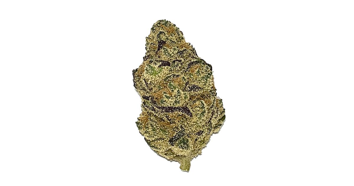 Tokyo Snow Cannabis Strain Information - GrowDiaries