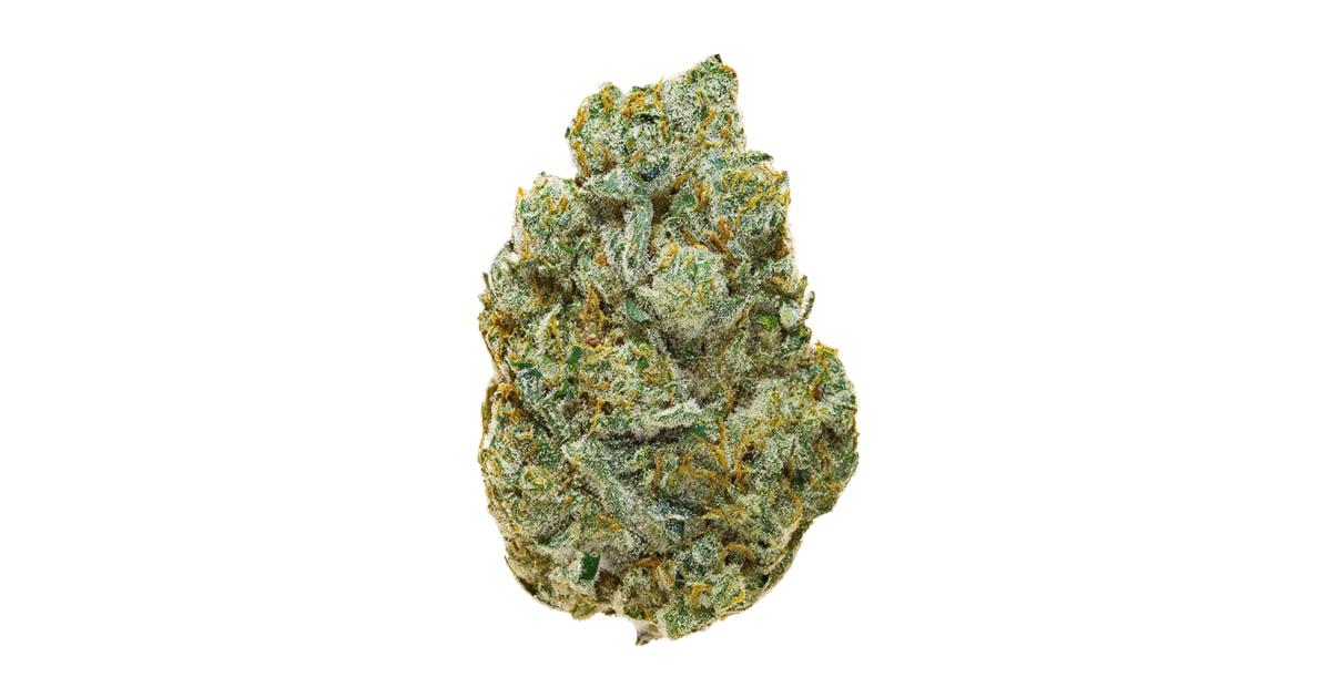 Pink Hokkaido Cannabis Strain Information - GrowDiaries
