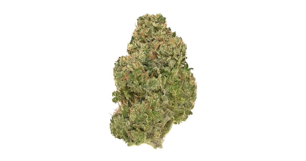 Sugar Larry Cannabis Strain Information - GrowDiaries