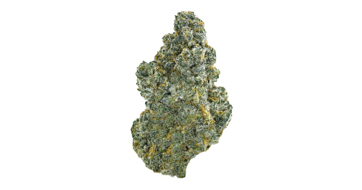 Sir Jack Cannabis Strain Products - GrowDiaries