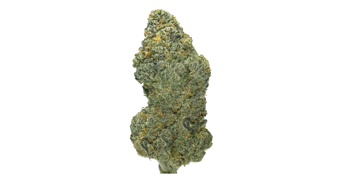 Lemon Candy Cannabis Strain Information - GrowDiaries