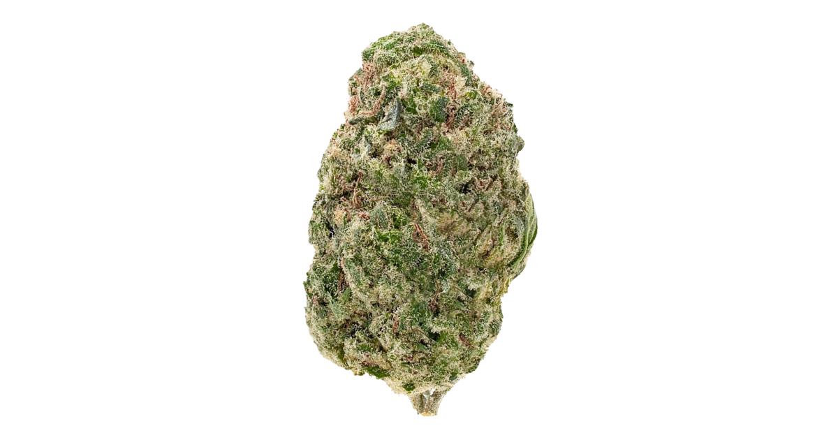 Mango Cream Cannabis Strain Products - GrowDiaries