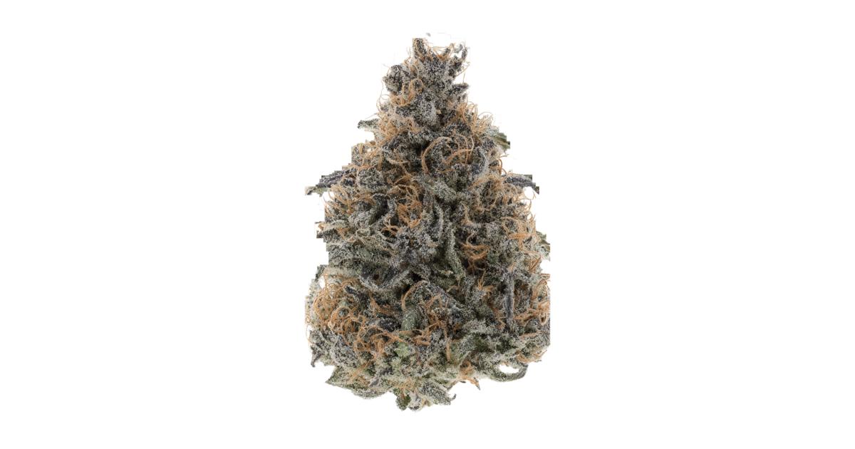 Orange 43 Cannabis Strain Information - GrowDiaries