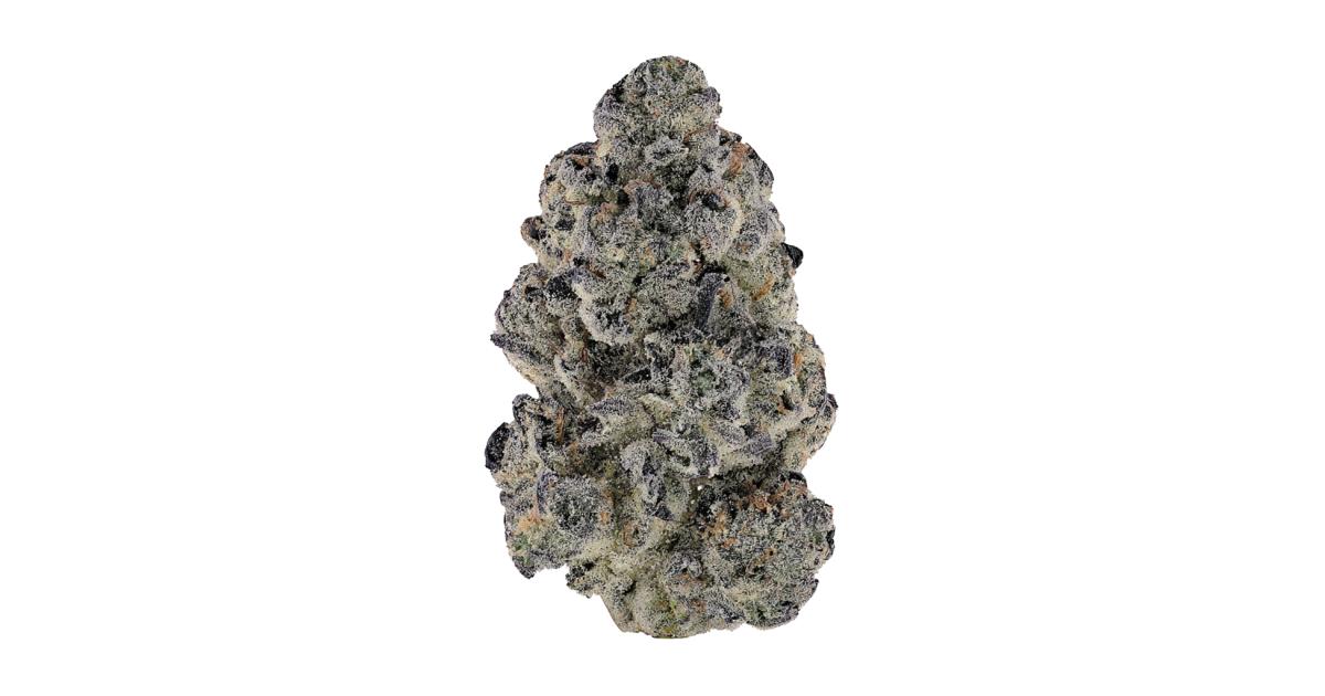 Lemon Orange Cannabis Strain Information - GrowDiaries