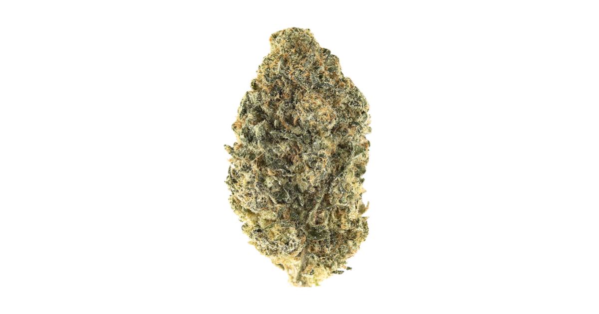 Triangle Queen Cannabis Strain Information - GrowDiaries